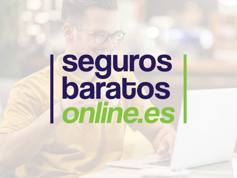 Seguros Baratos Online - Contrata tus seguros más baratos